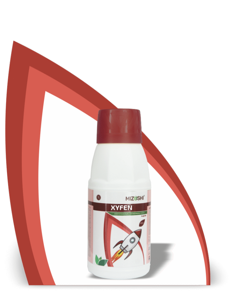 XYFEN AZOXYSTROBIN 18.2% + DIFENOCONAZOLE 11.4% SC - Mizushi India Pvt Ltd