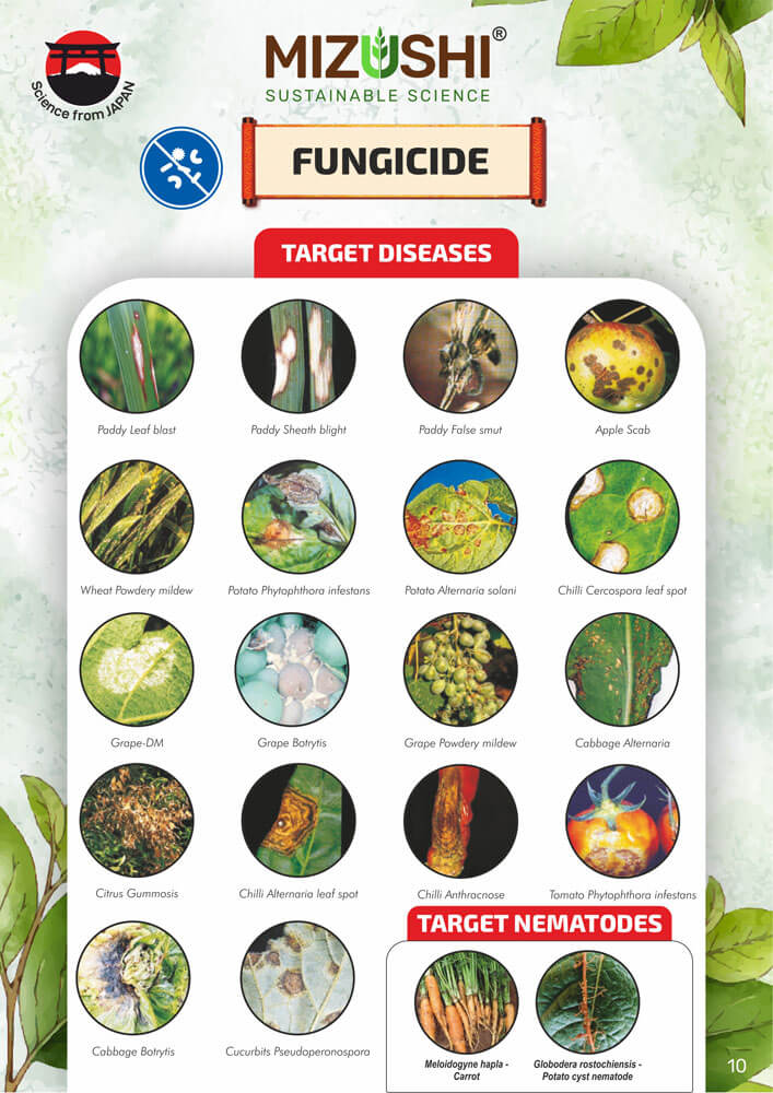 Target Diseases - Mizushi India Pvt Ltd